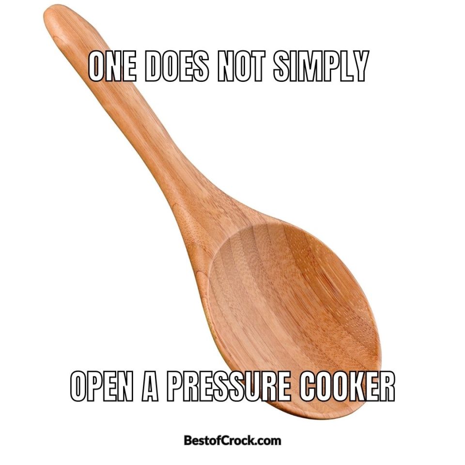 Must See Funny Instant Pot Memes - Best of Crock