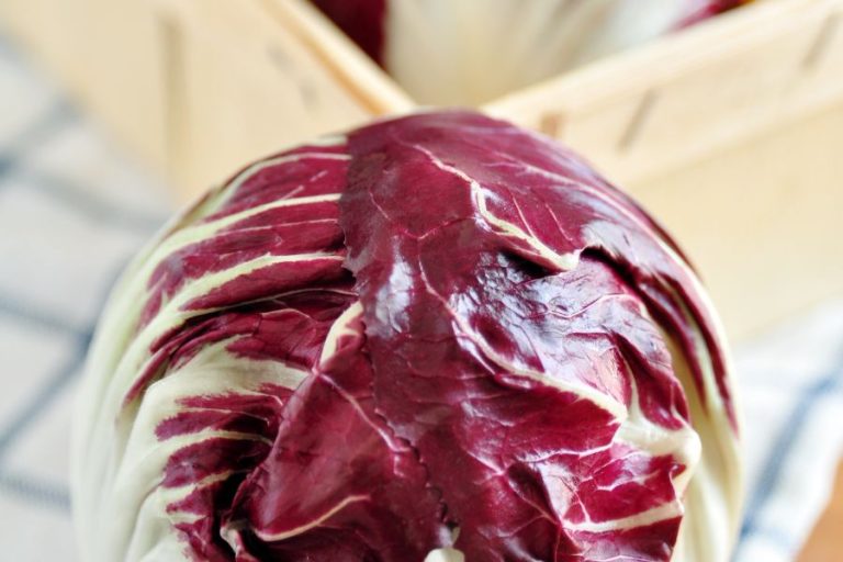 Radicchio vs Red Cabbage - Cooking and Health Tips to Know