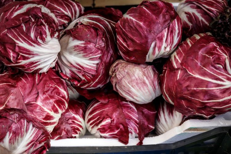 Radicchio vs Red Cabbage - Cooking and Health Tips to Know